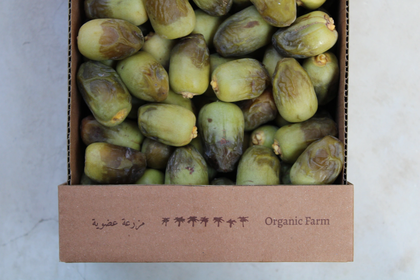 Fresh Organic Shishi Rutab Dates - 1 kg